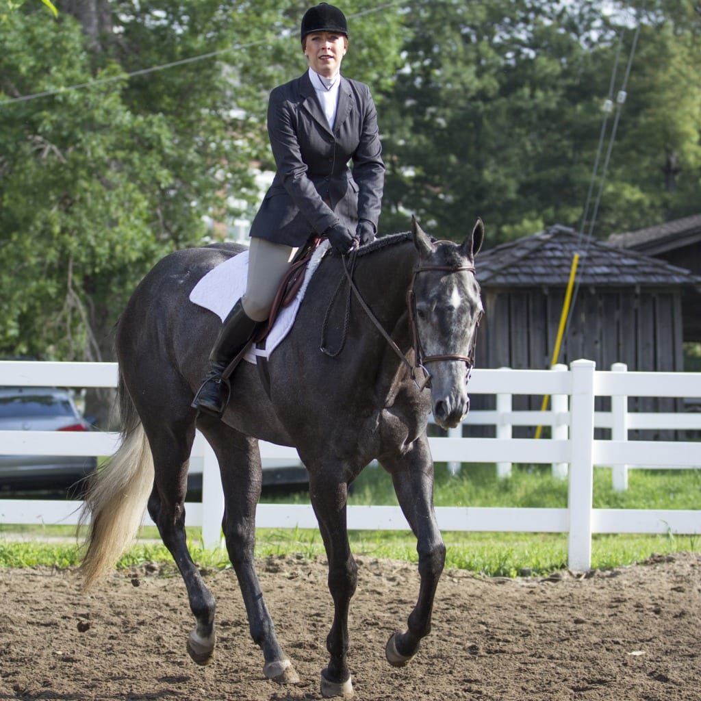 GoHorseShow - AQHA Judge Stephanie Lynn Discusses How to Perform Hand ...