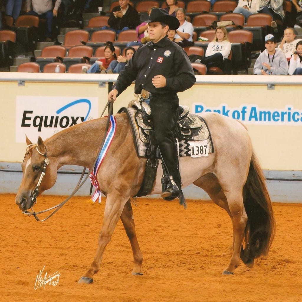 GoHorseShow - The Greatest Show Mare to Ever Live, Vital Signs Are Good ...