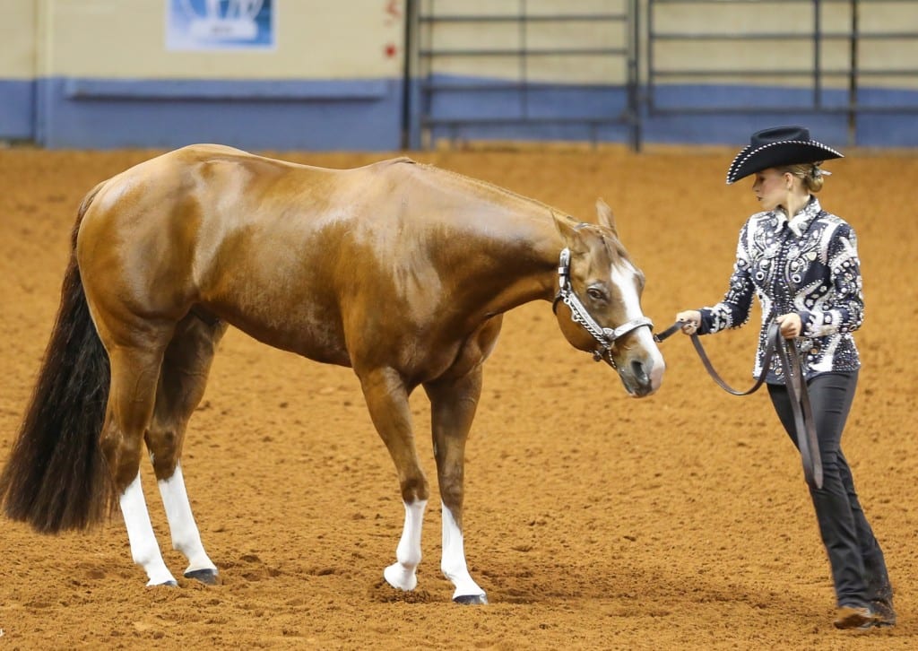 GoHorseShow - How to Perform Perfect Pivots with Robin Frid