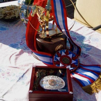 GoHorseShow - buckles christine