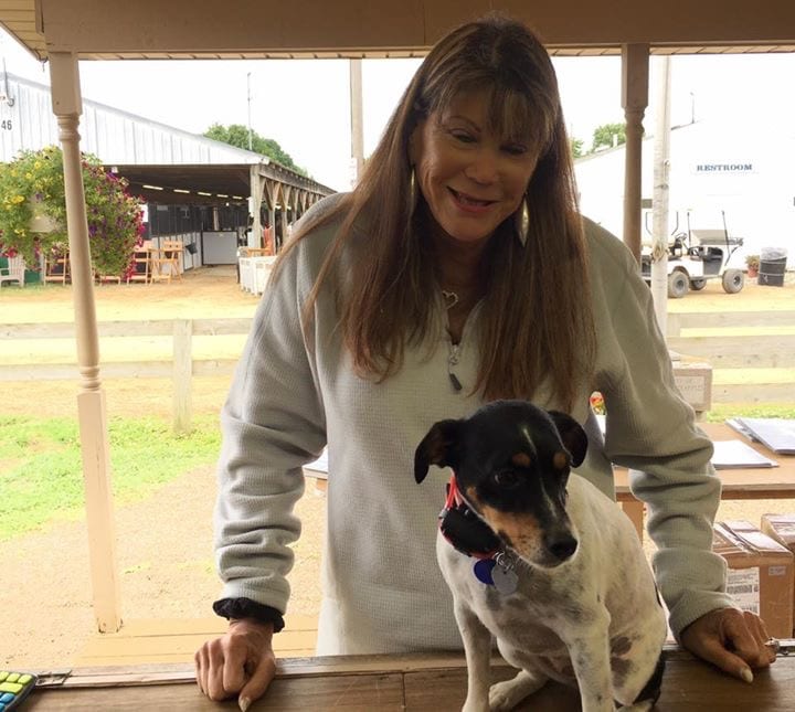 GoHorseShow - susan scott