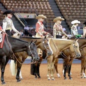 GoHorseShow - 10 Quick Tips Congress Edition: Western Pleasure with ...