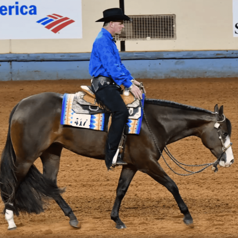 GoHorseShow - How Western Pleasure has Changed Throughout the Years ...