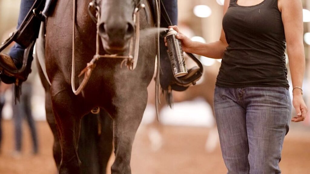 GoHorseShow - New Year's Edition: Top 10 Favorite Horse Show Hacks from ...