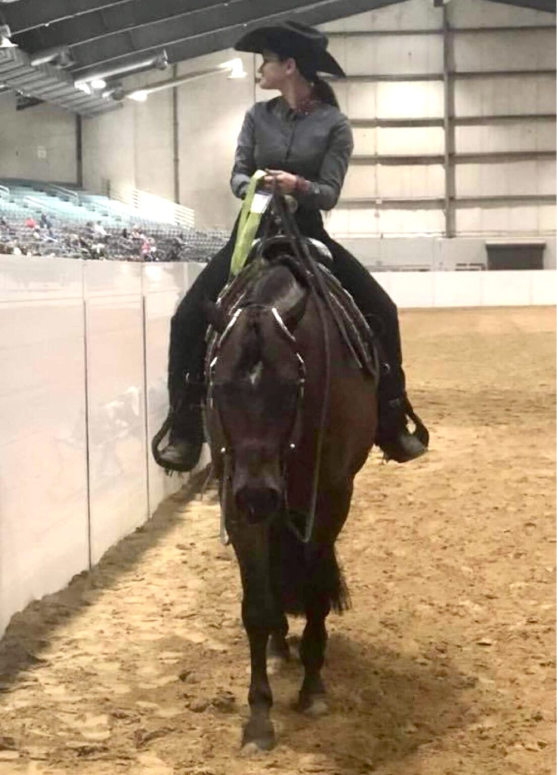 GoHorseShow - Assistant Trainer Spotlight: Samantha Gately of Ryan ...