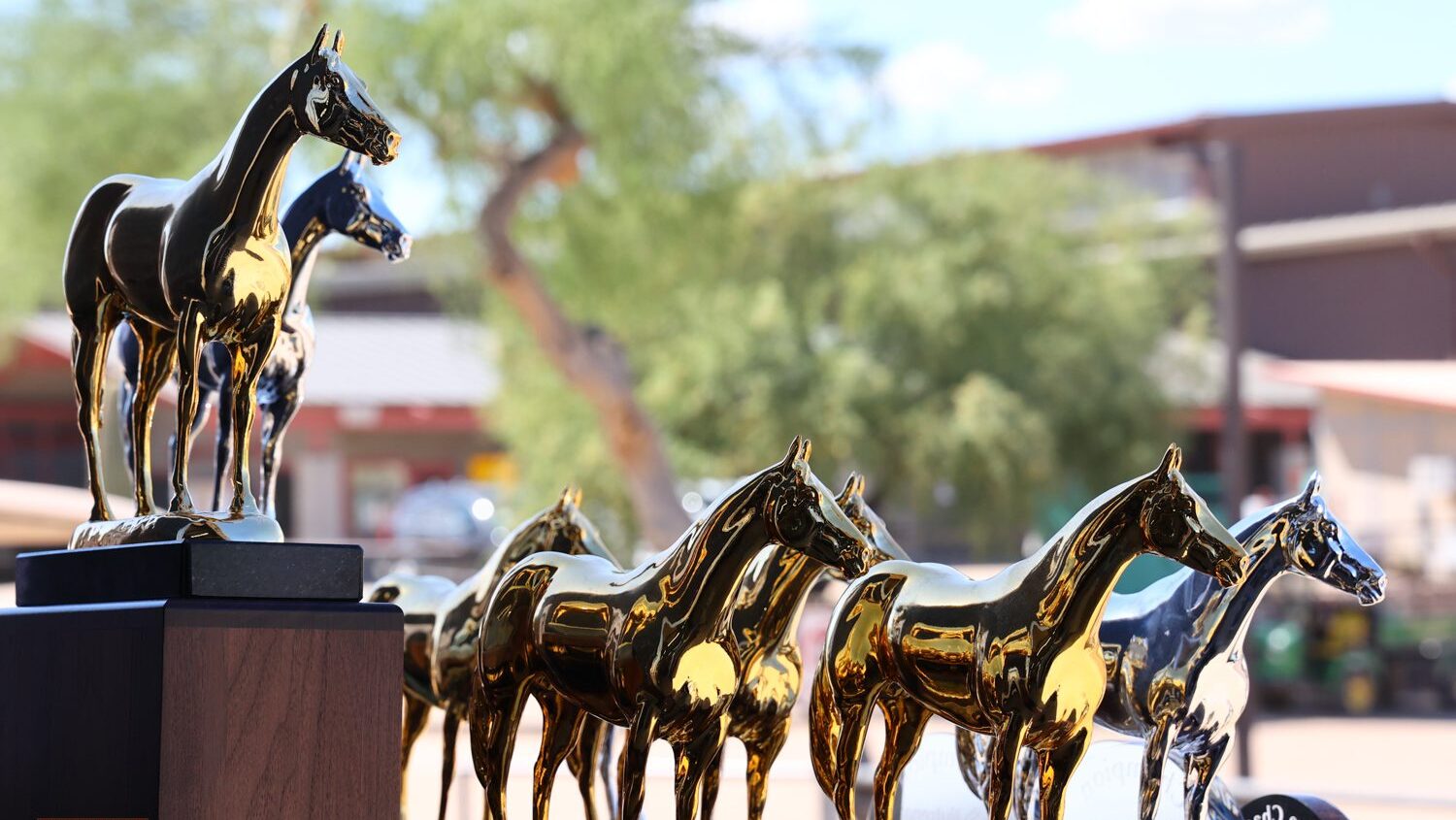 GoHorseShow - We Ask The Industry: What Are Some of Your Favorite Horse ...