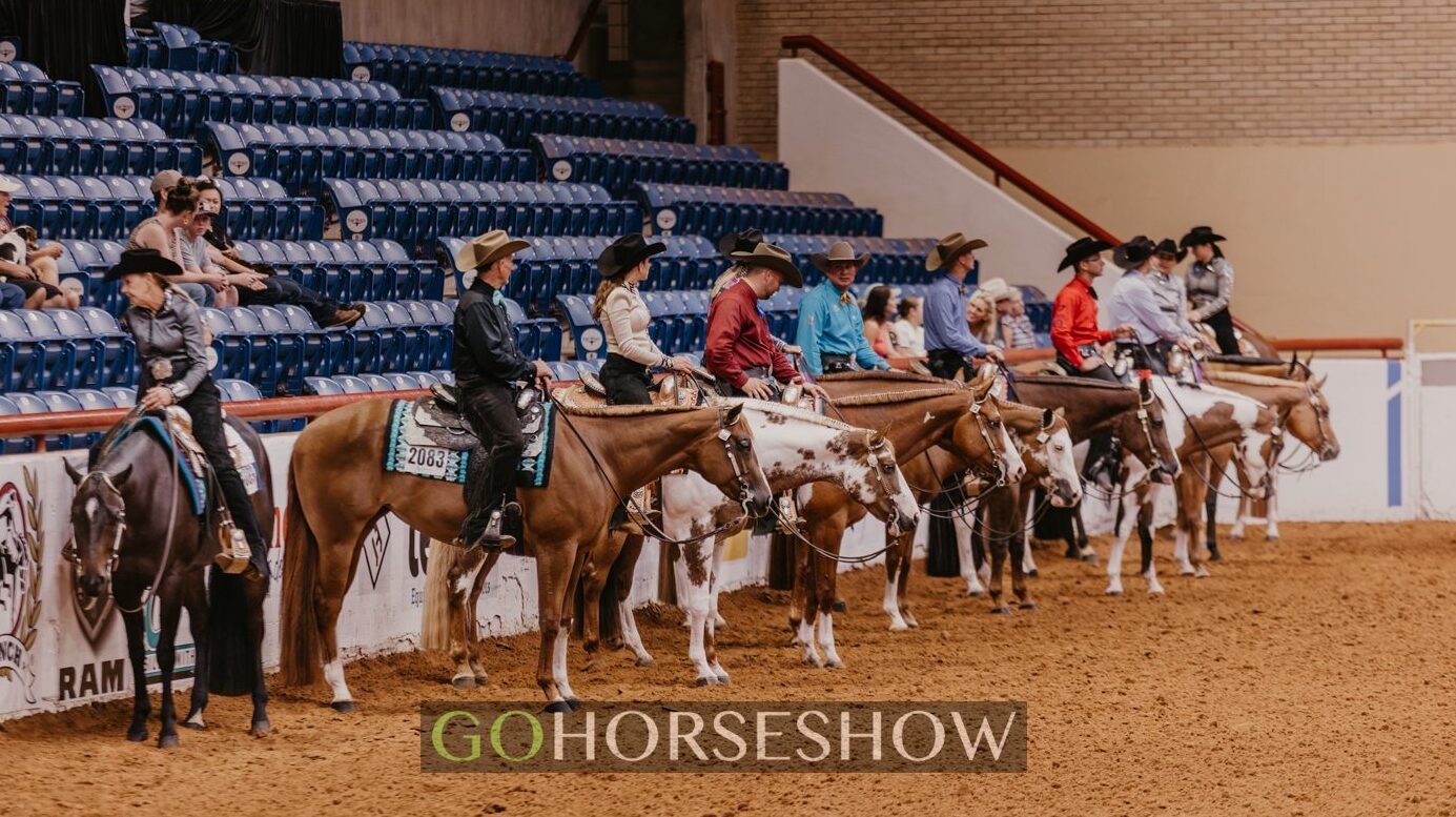 GoHorseShow - A Solid Win or a Colorful Conundrum: APHA Passes Rule to ...