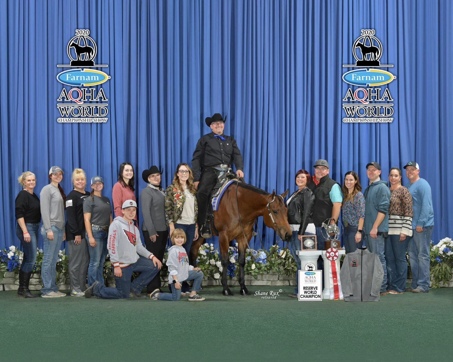 GoHorseShow - World & Reserve Congress Champion Doctor Phil Good Sells ...