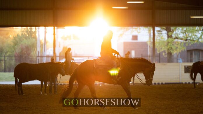 GoHorseShow - How to Prevent Overpracticing - with Carmen Mayabb ...