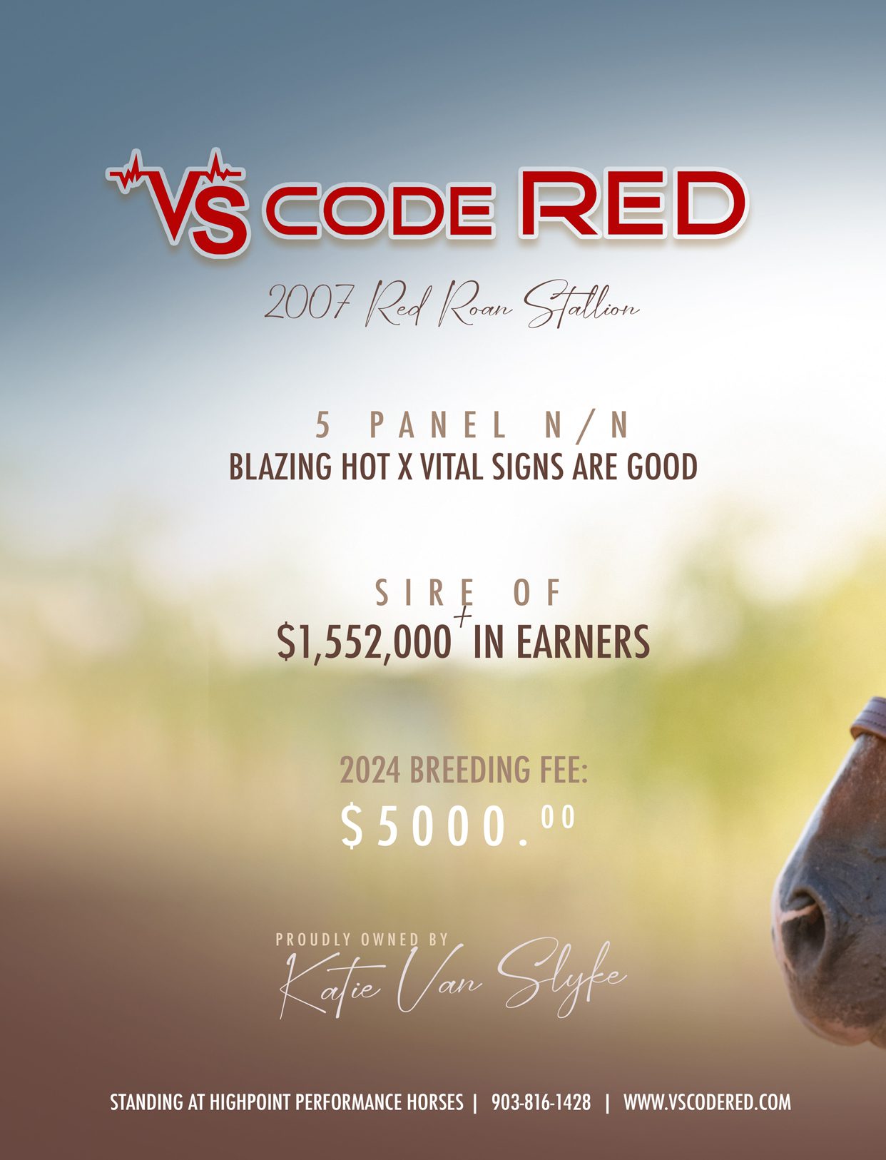 GoHorseShow - 028 HP_VS Code Red 01 - GO
