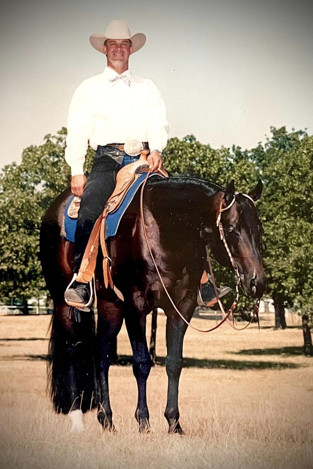 GoHorseShow - Troy Compton Says Goodbye to World Champion Sire Hot Impulse