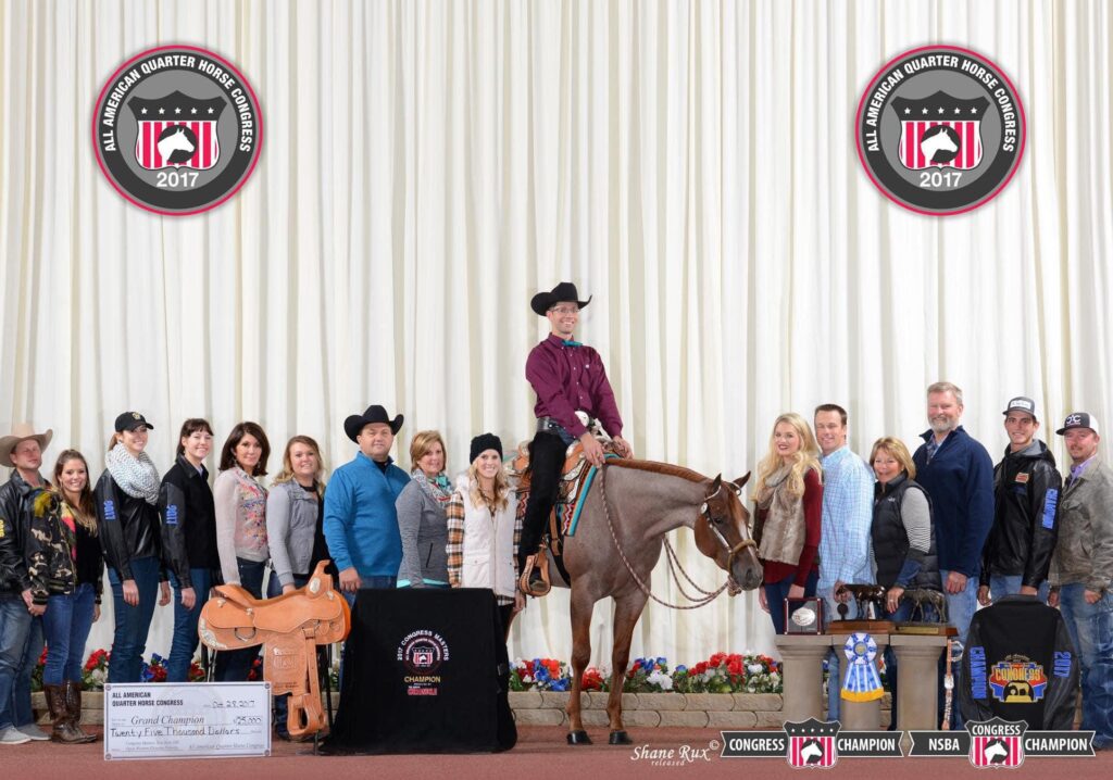 GoHorseShow - Katie Van Slyke Purchases Royally Bred Stallion Prospect ...