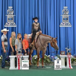 GoHorseShow - Katie Van Slyke Purchases Royally Bred Stallion Prospect ...