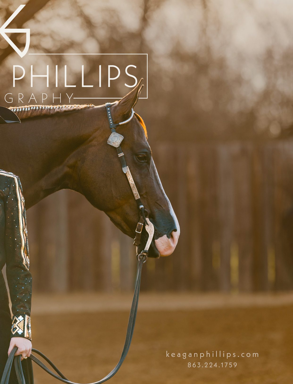 GoHorseShow - 055 Keagan Phillips Photography 02 - GO