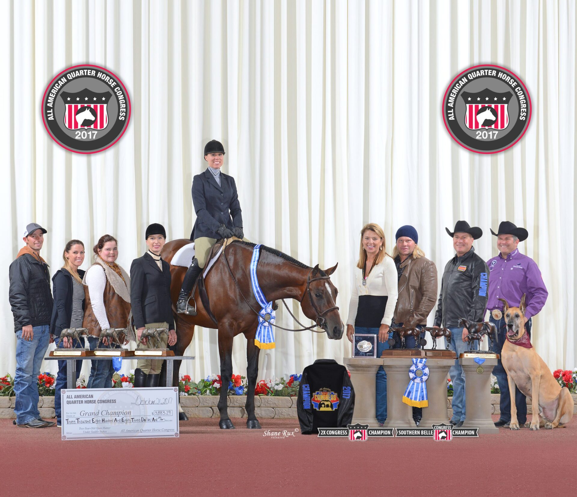 GoHorseShow - Legendary Mare GoodyGoody Gumdrops Passes at 17