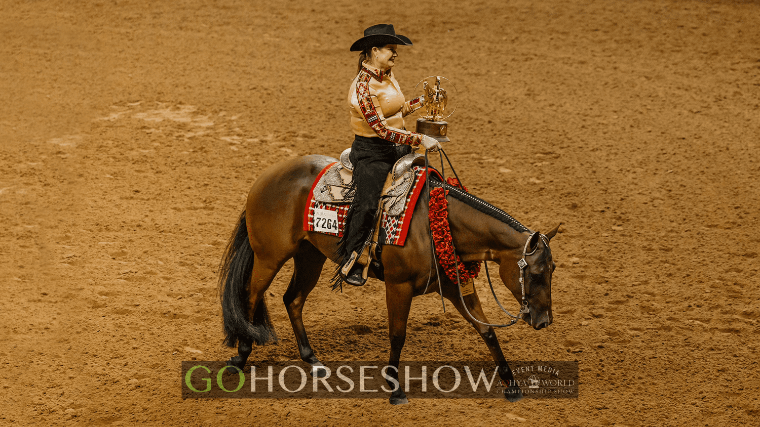 GoHorseShow - 2024 AQHA World Show - L3 Amateur Western Pleasure ...