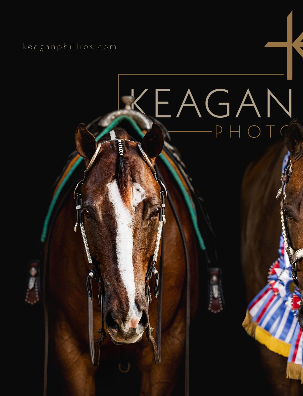 GoHorseShow - 052 Keagan Phillips Photography 01 - GO