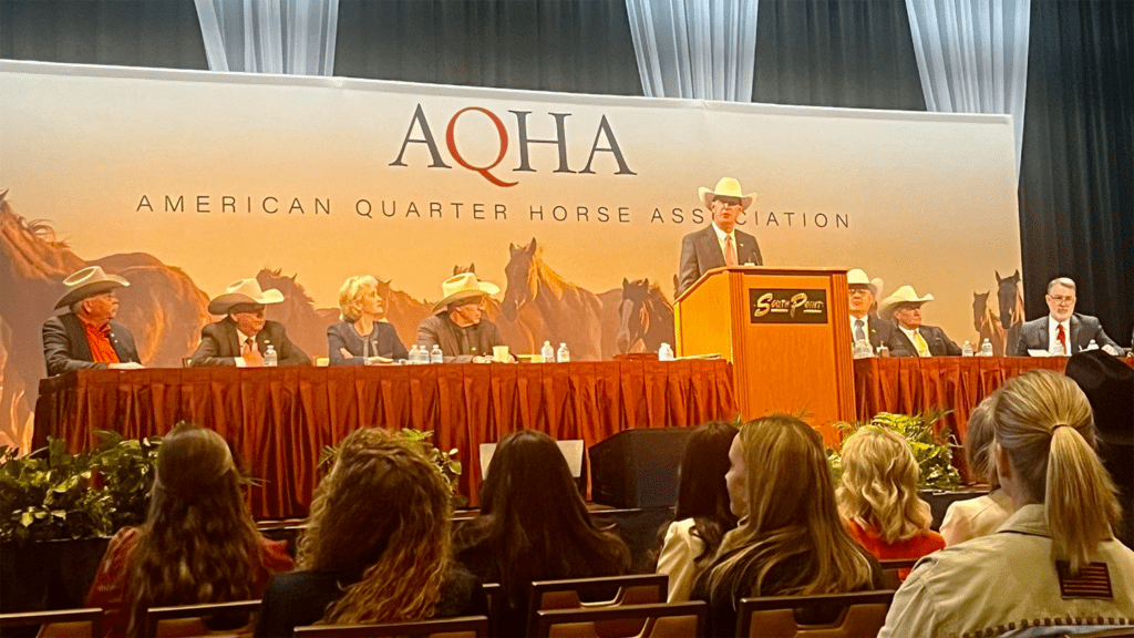 GoHorseShow - New 2025 AQHA Executive Committee Announced