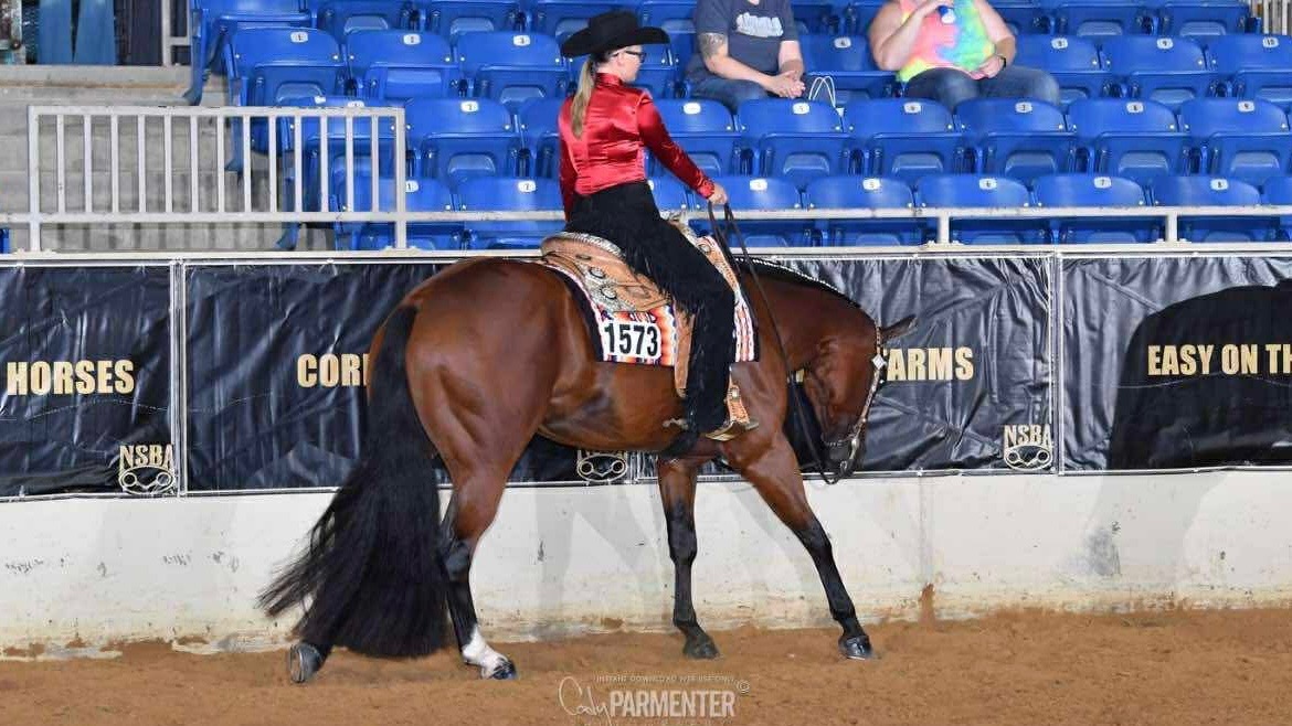 GoHorseShow - Assistant Trainer Spotlight: Kelly Cleveland of Chase ...